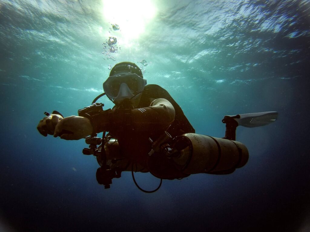 Ocean Diving Akumal | Turtles, Reefs & Marine Life
